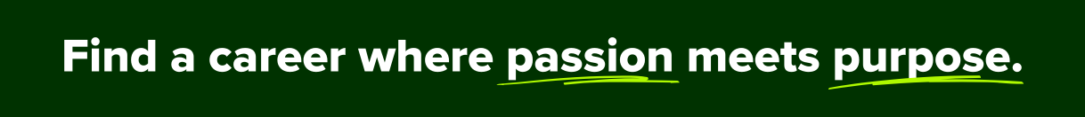 Search for Jobs page is loaded